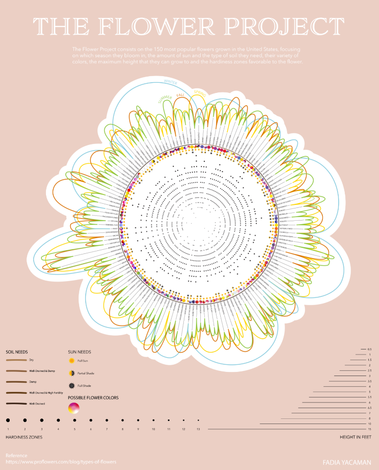 Fadia Yacaman - College of Arts, Media and Design (CAMD)